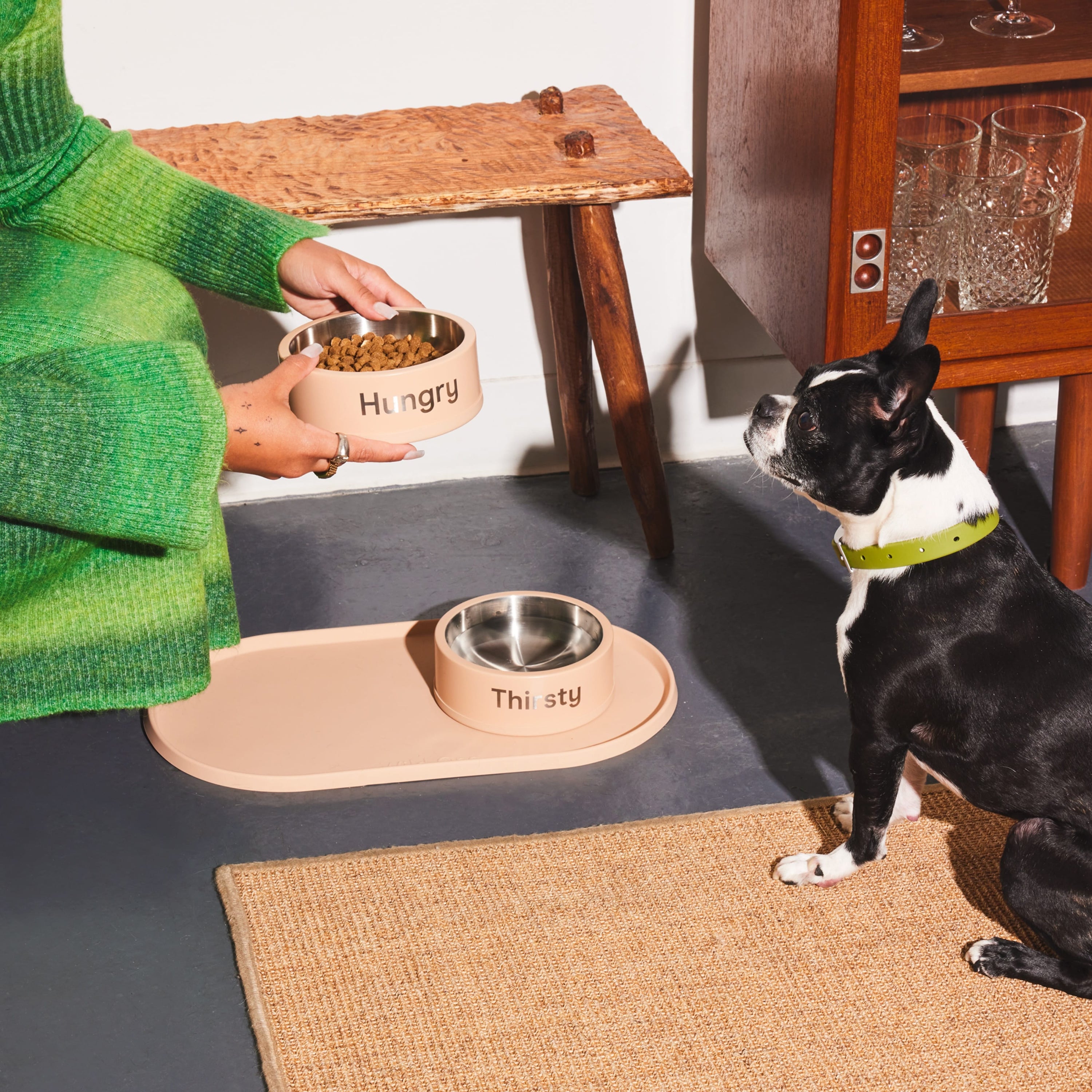 Dog Harnesses, Collars, Leashes, Toys & Essentials | Wild One