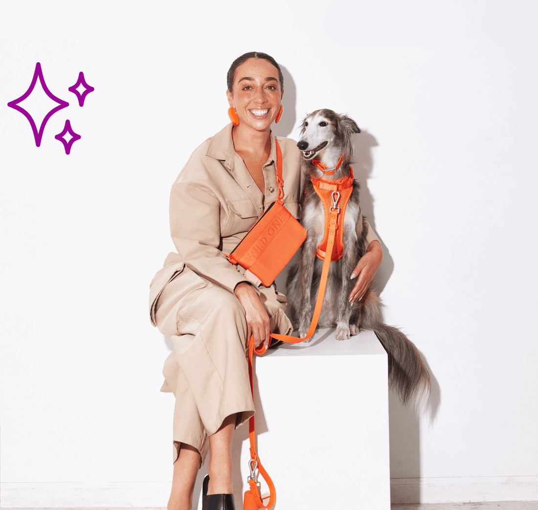 The Walk Kit that Broke the Internet – Wild One