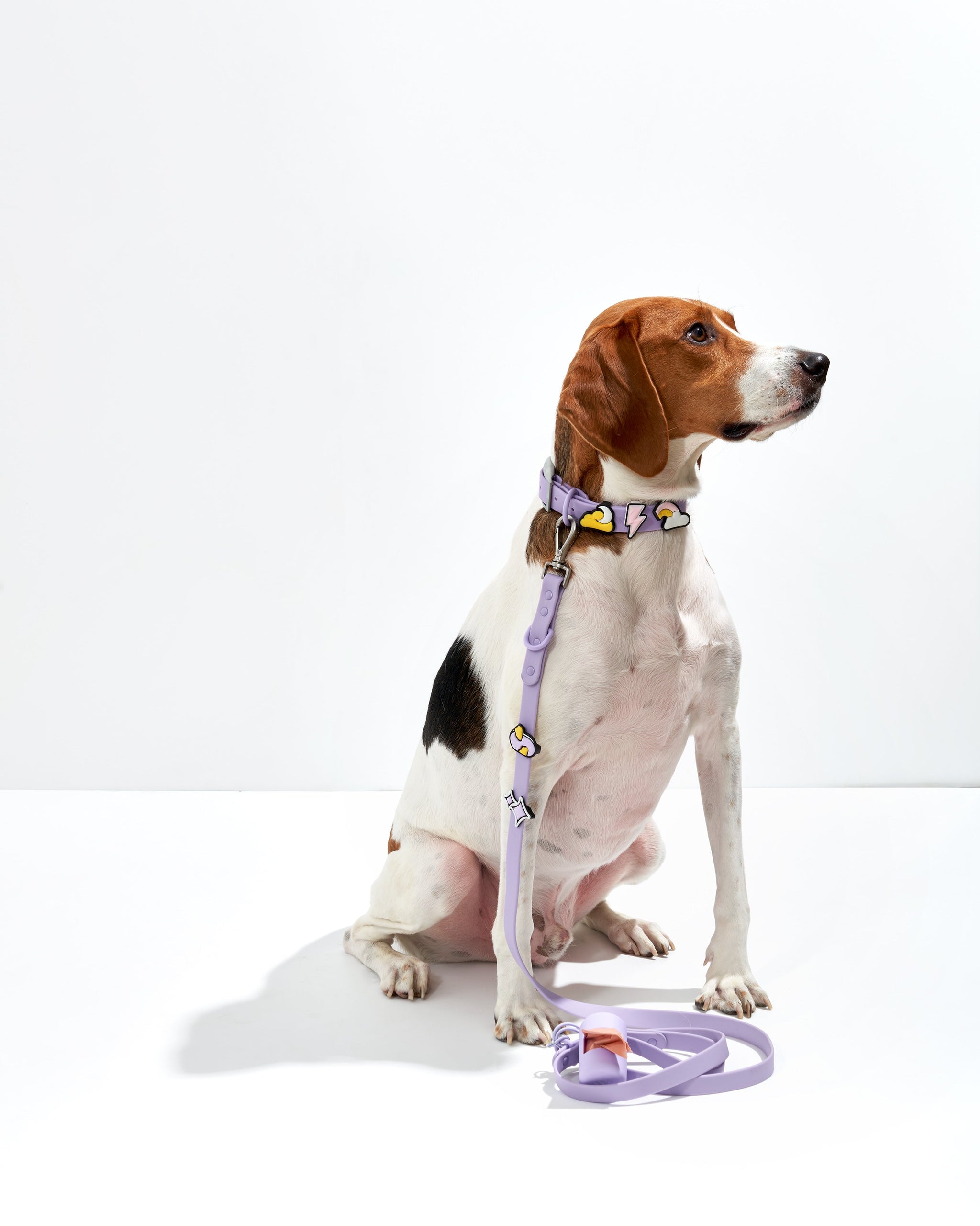 Flair Pack | Wild One