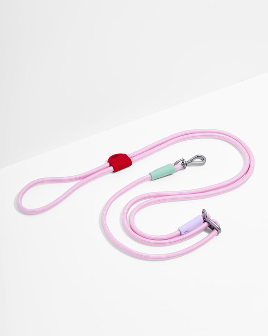 Hands-Free Rope Dog Leash, Dog Body Leash | Wild One