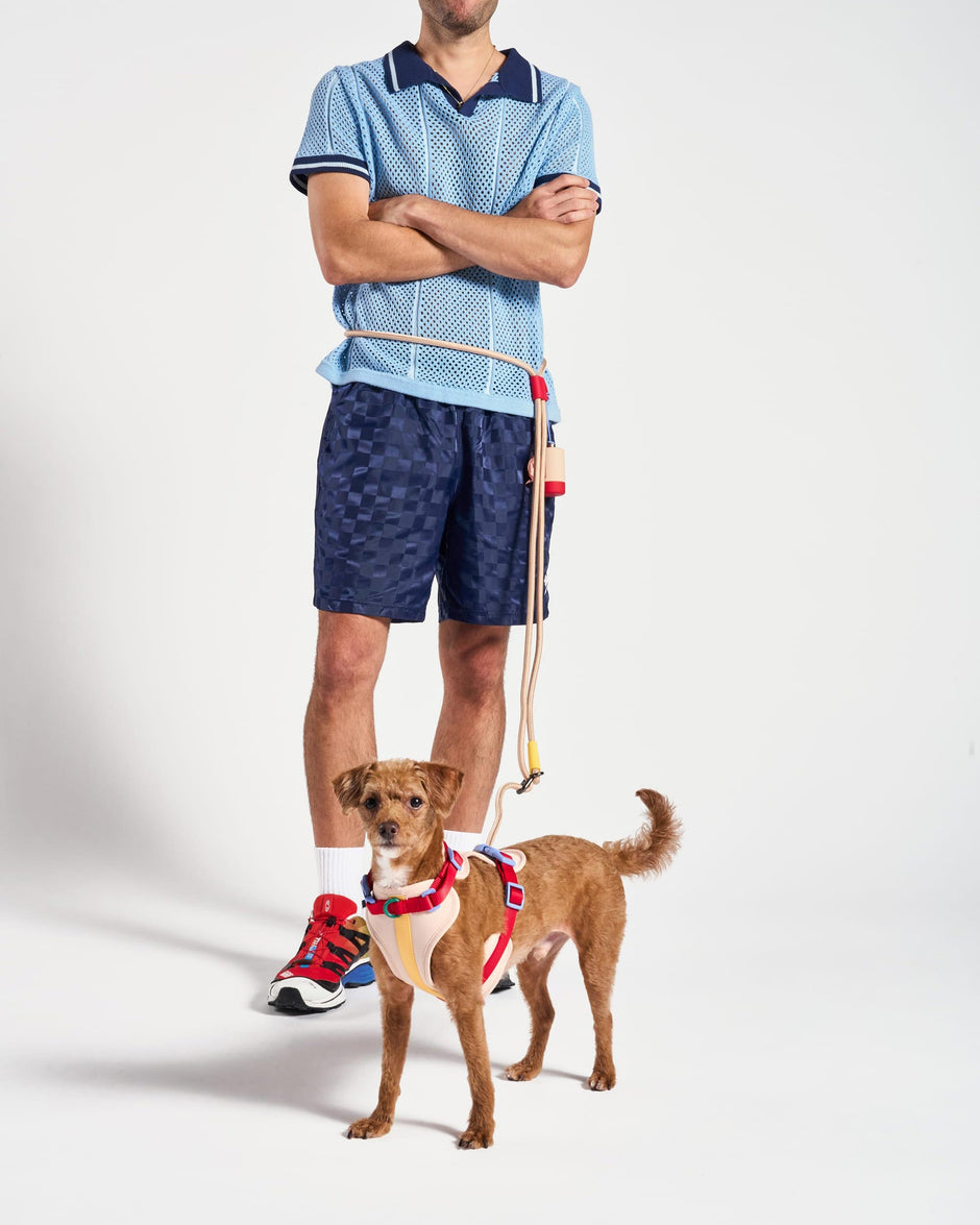 Dog Walking Essentials | Wild One