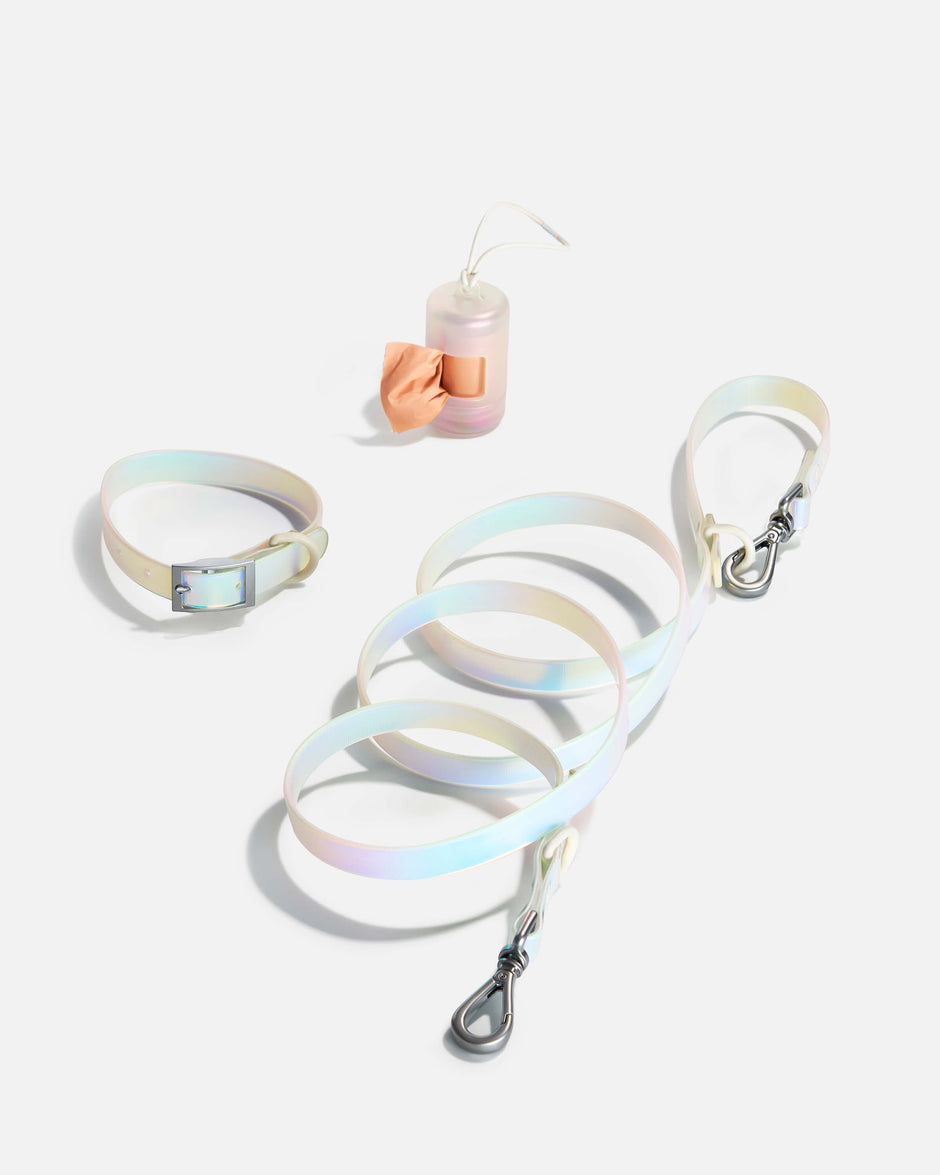 Dog Walking Essentials | Wild One