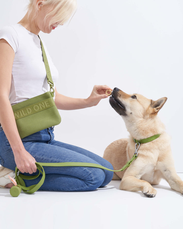 Dog Walking Essentials | Wild One