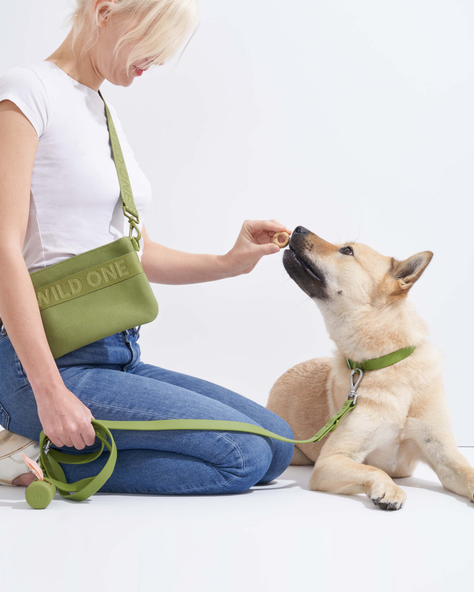 Dog Walking Essentials | Wild One