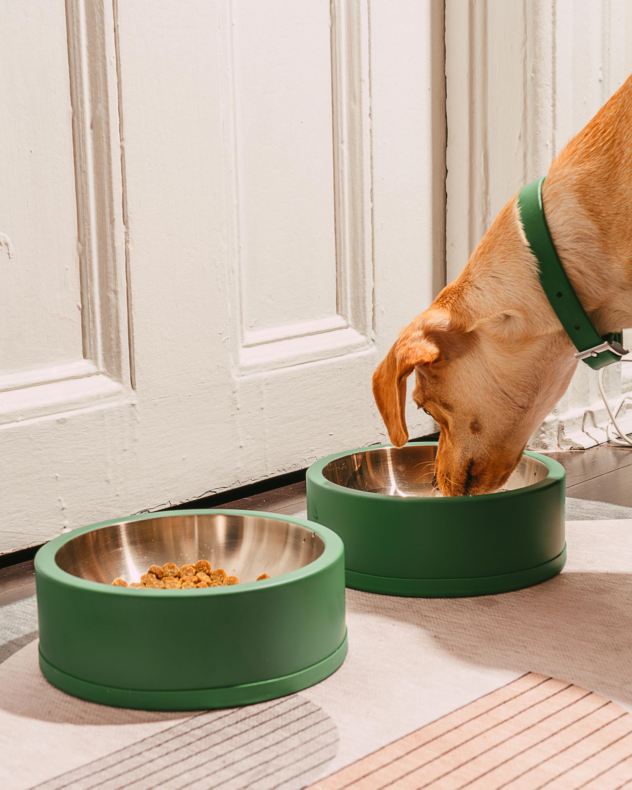 Custom Stainless Steel Dog Bowl | Wild One