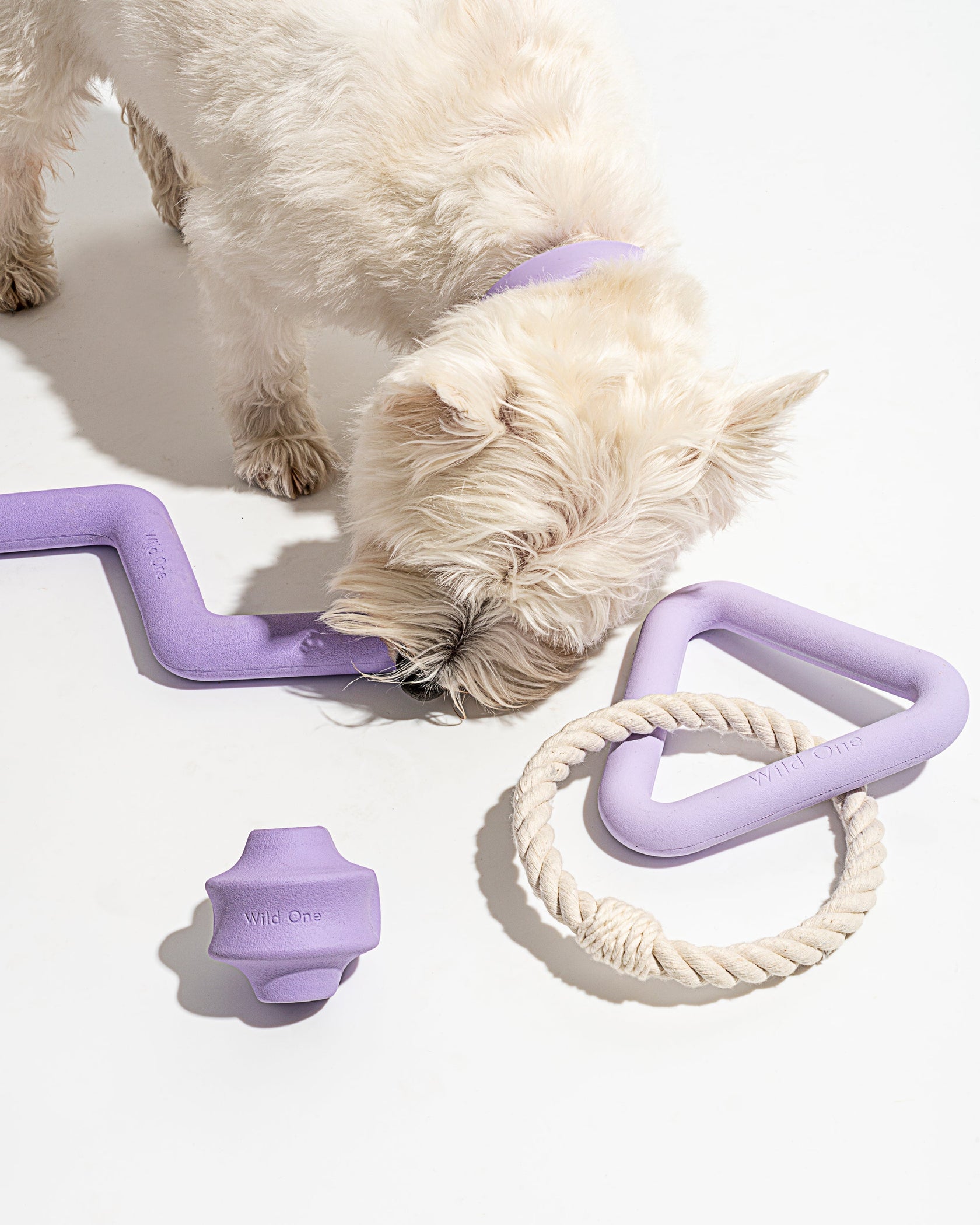Dog Toy Set | Wild One