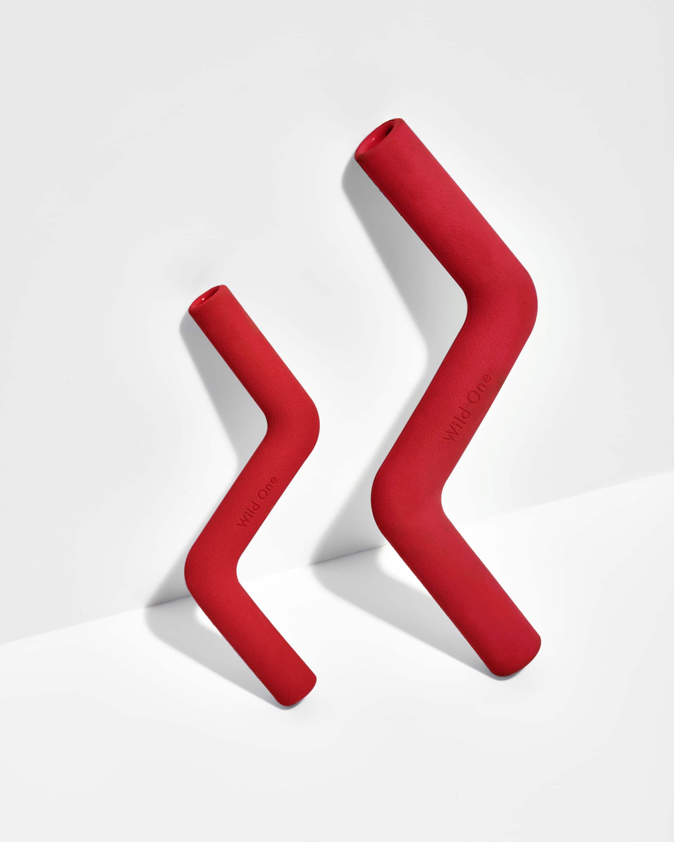 Bolt Bite Dog Chew Toy | Wild One