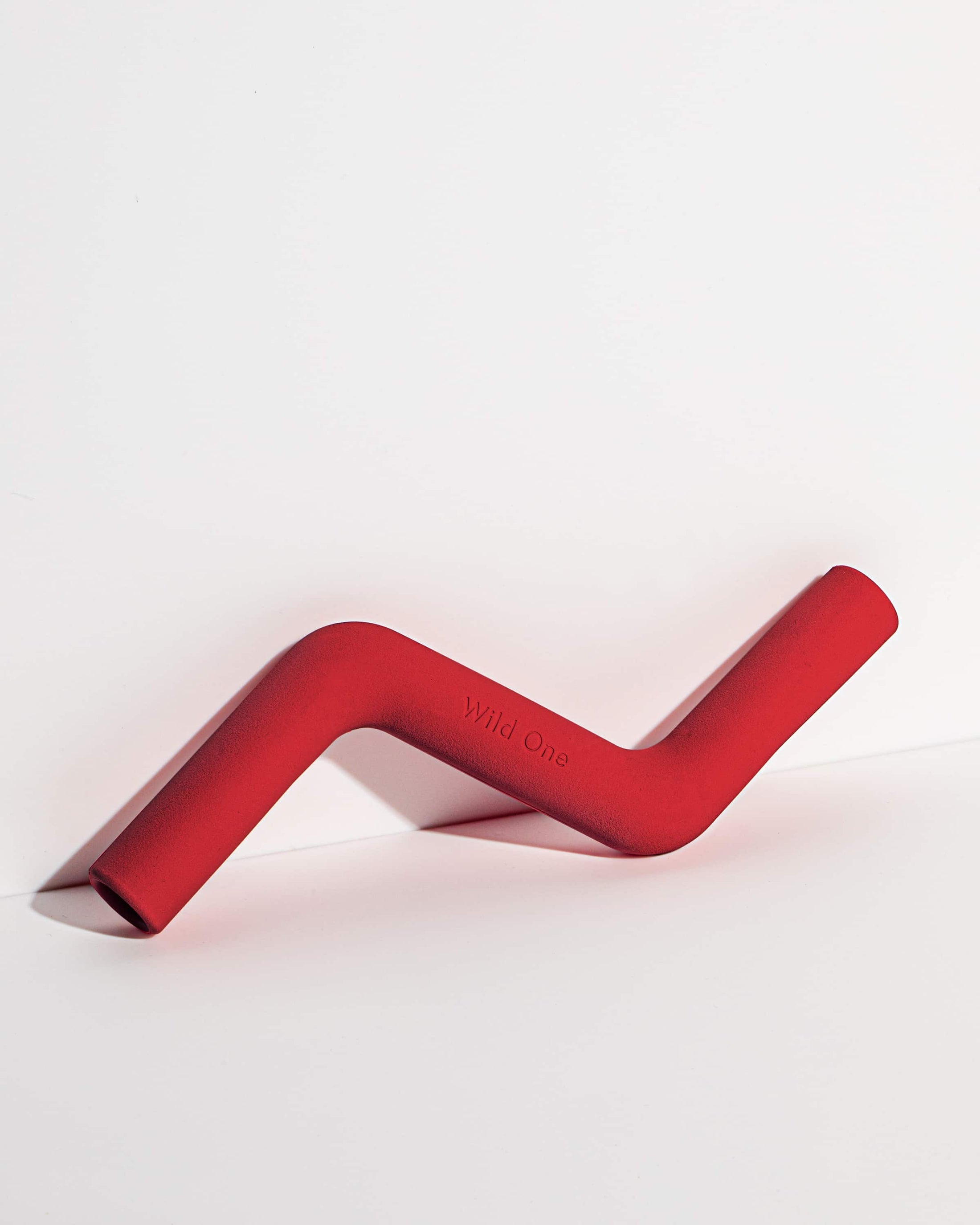 Bolt Bite Dog Chew Toy | Wild One