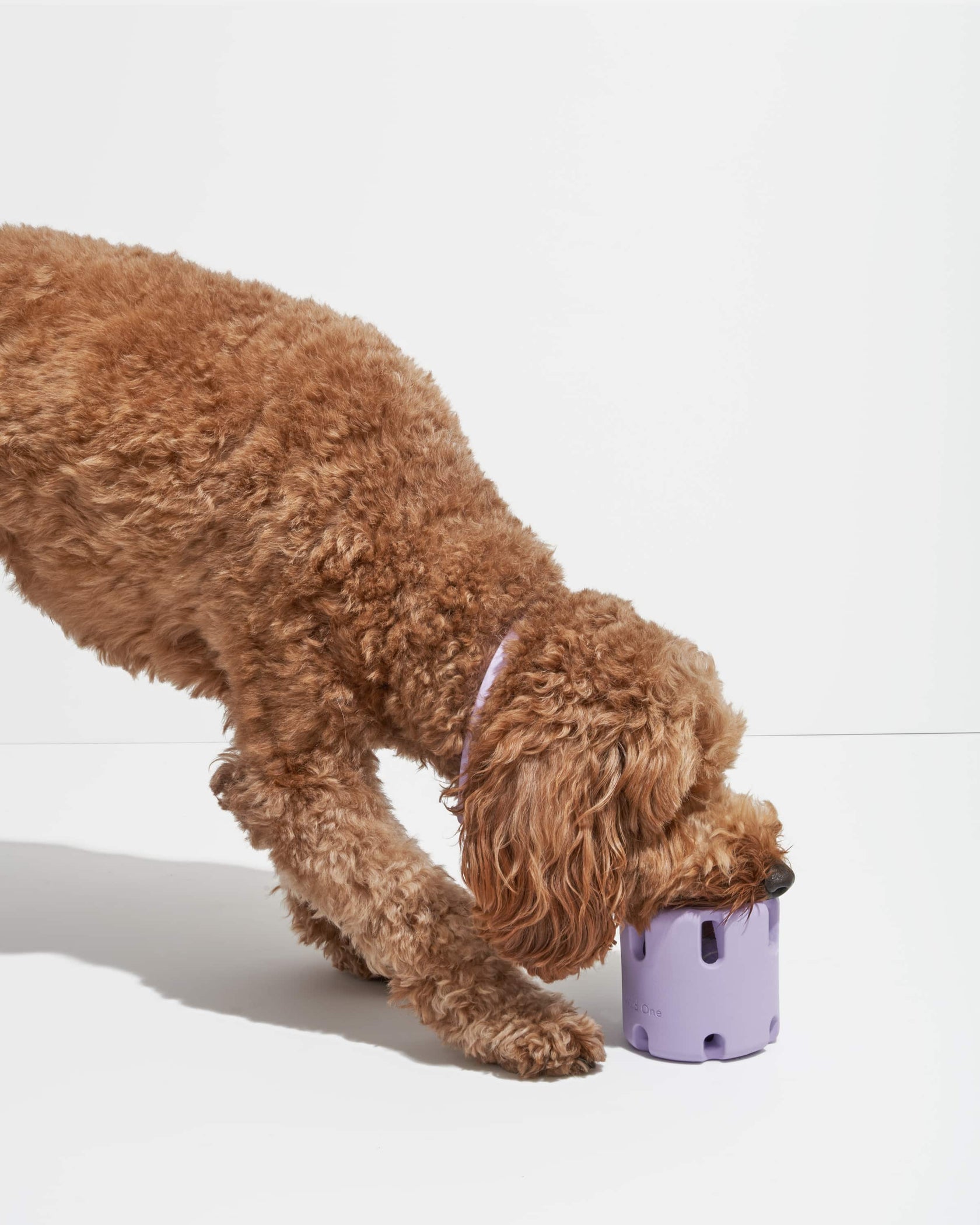 Tennis Tumble Puzzle Toy For Dogs | Wild One