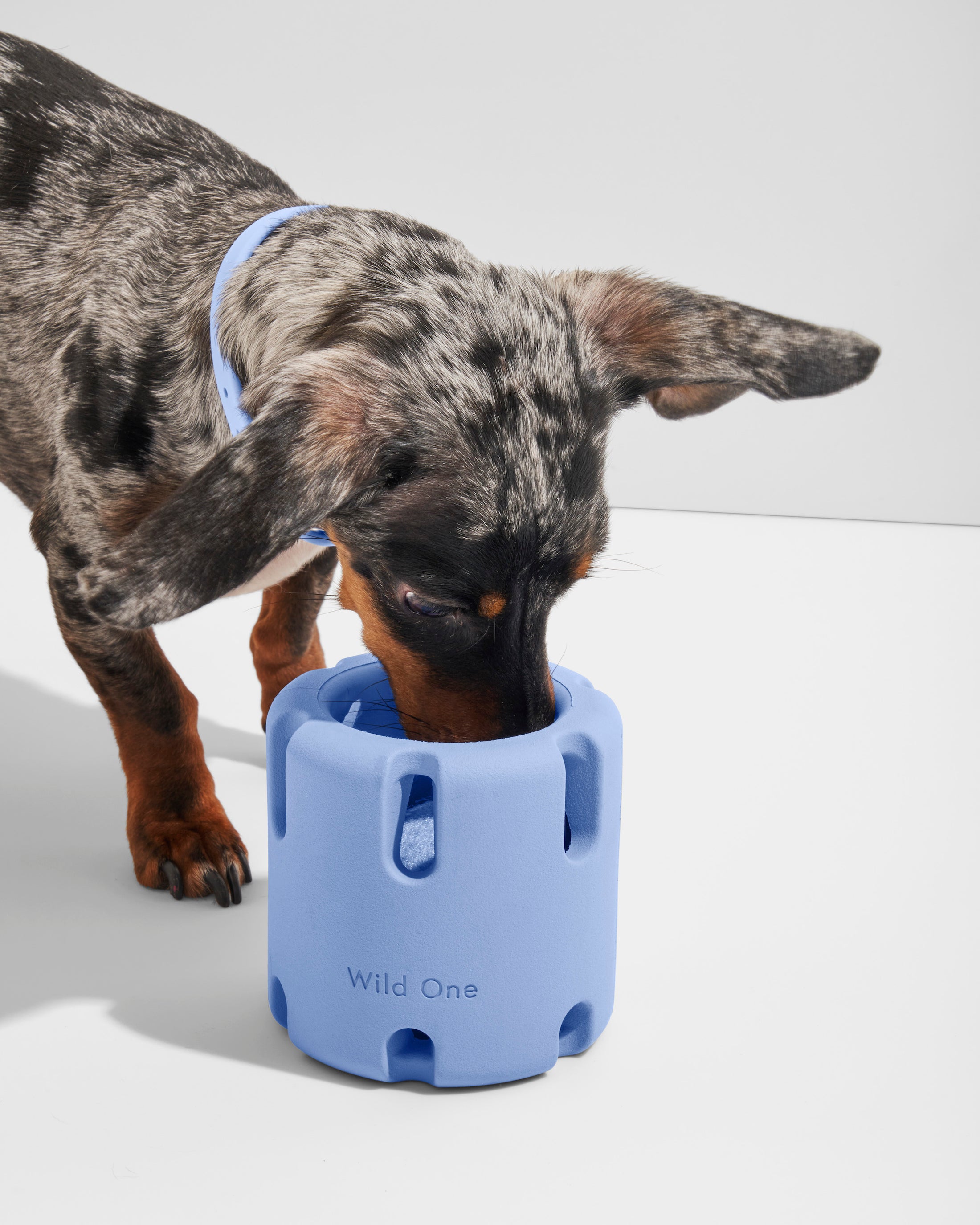 Tennis Tumble Puzzle Toy For Dogs | Wild One