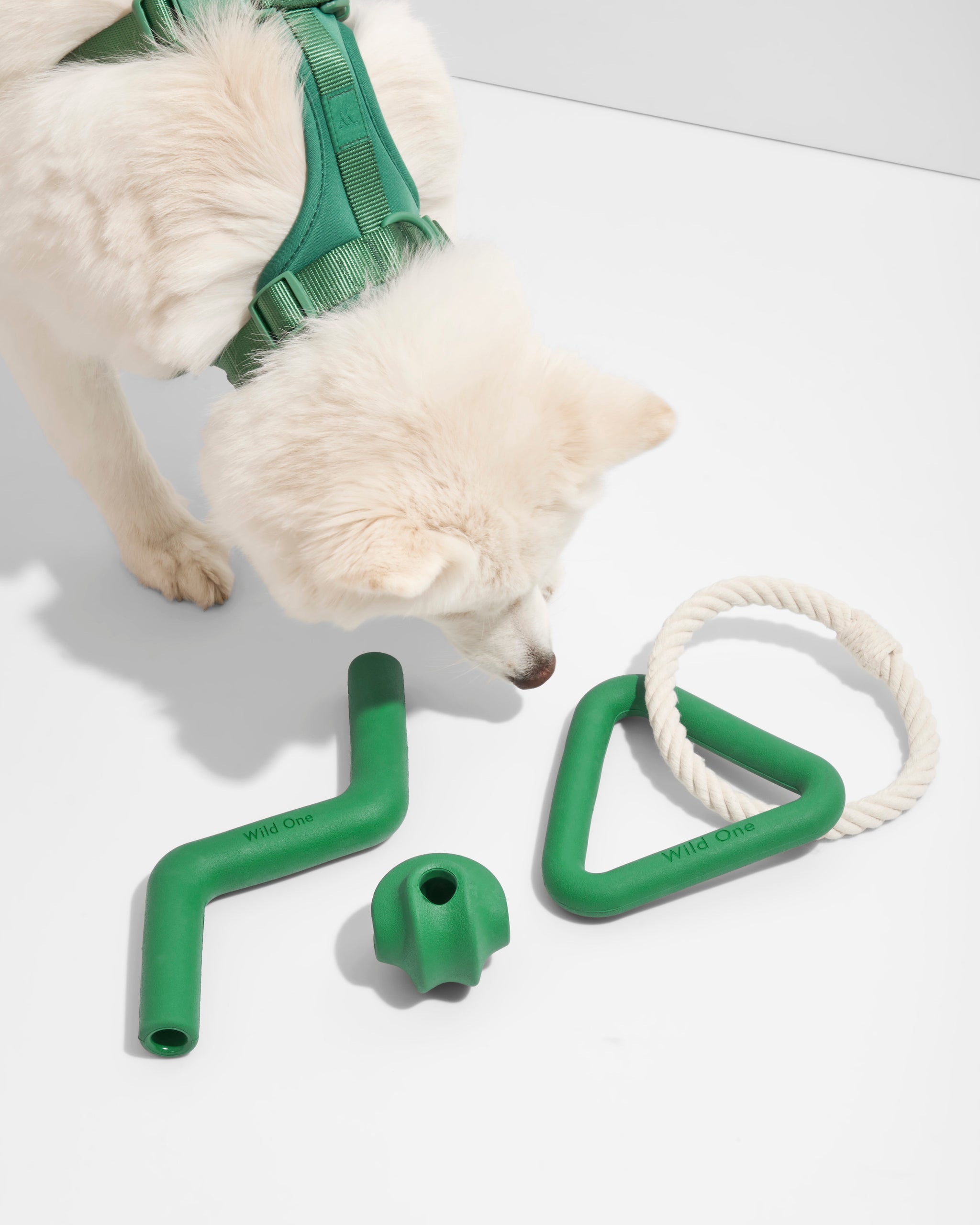 Dog Toy Set | Wild One