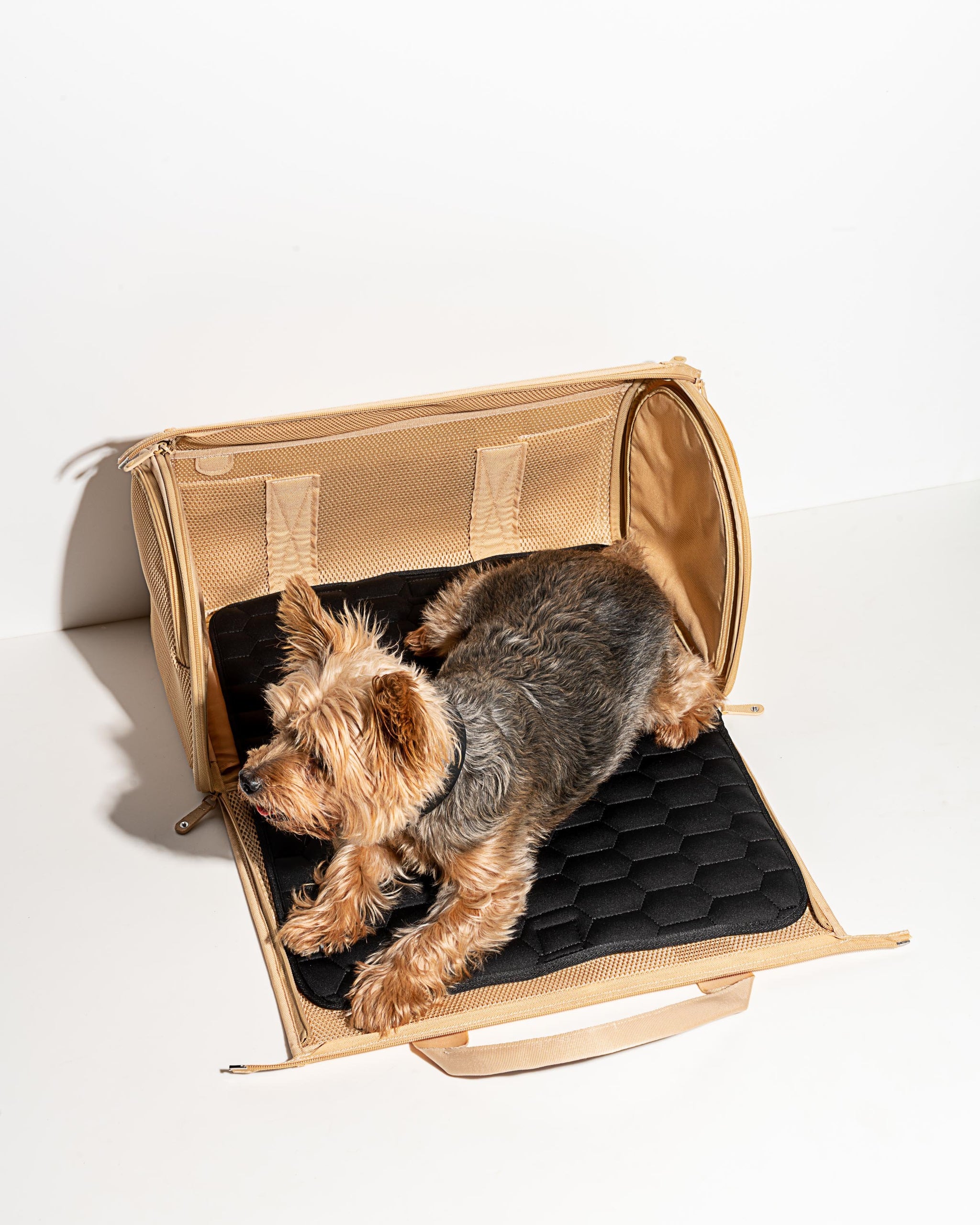 Wild One | Airline Approved Pet + Dog Carrier | Travel-Safe